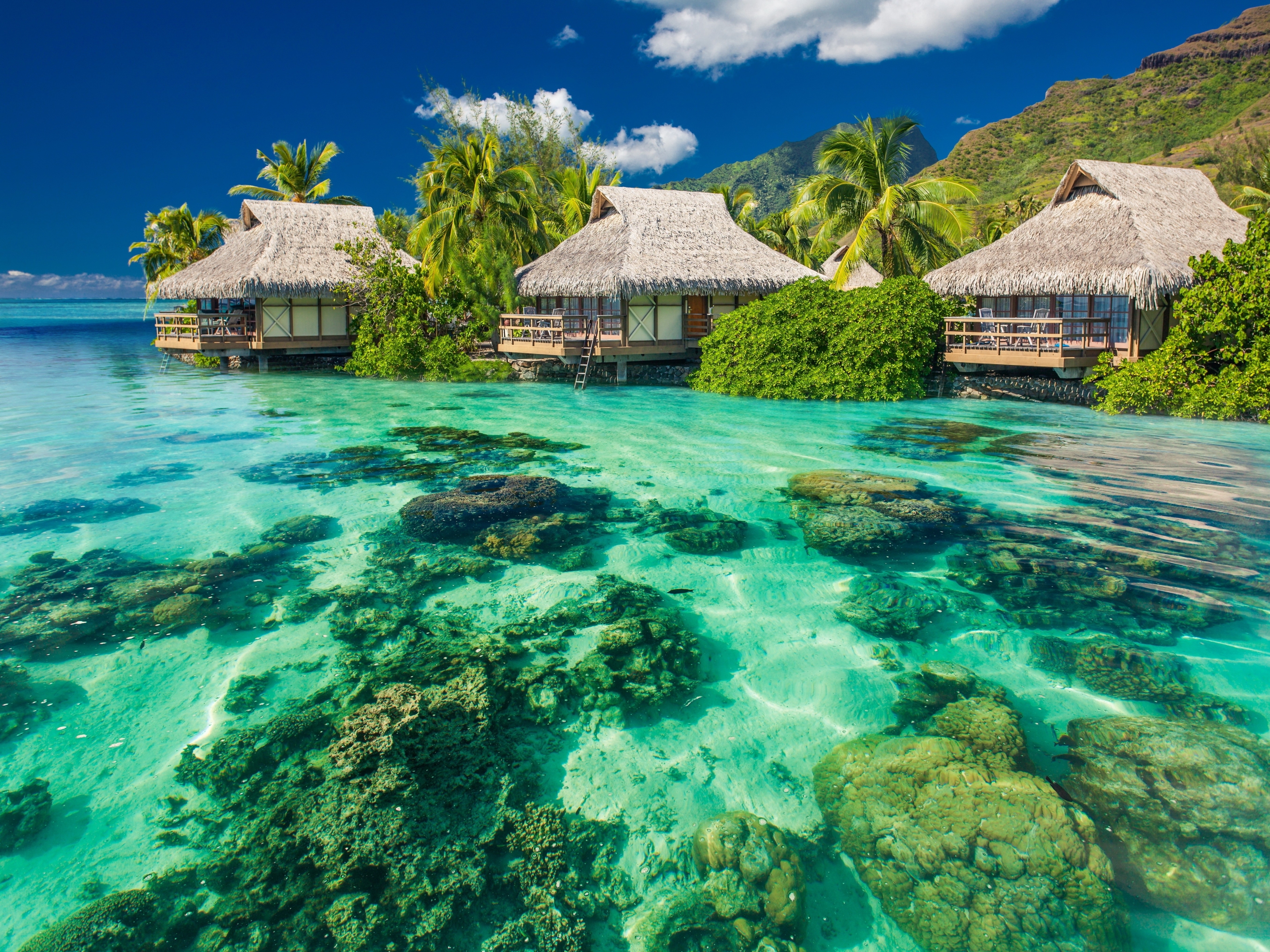 3200x2400 Resolution tropics, palm trees, ocean 3200x2400 Resolution ...
