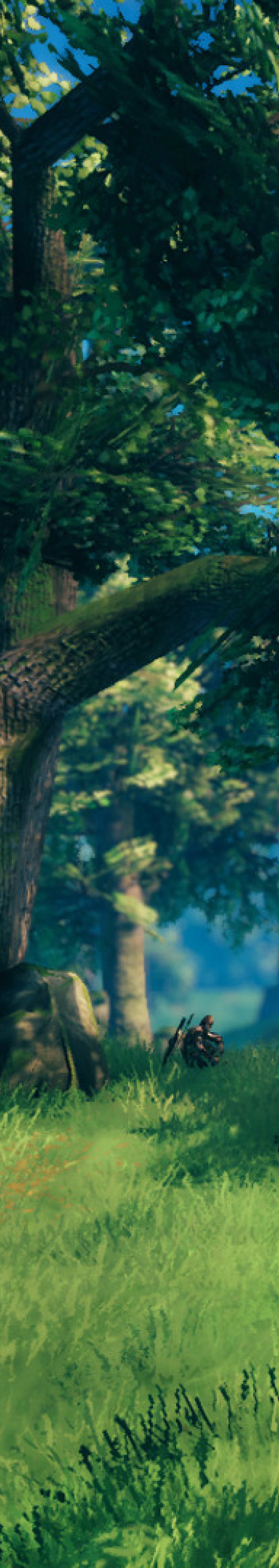 1280x7202 Resolution Valheim Background 1280x7202 Resolution Wallpaper ...