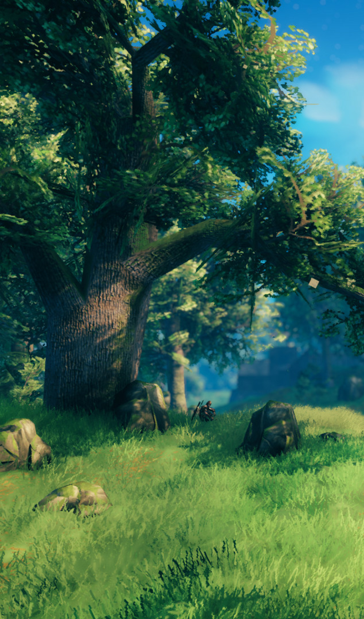 1200x2040 Resolution Valheim Background 1200x2040 Resolution Wallpaper ...