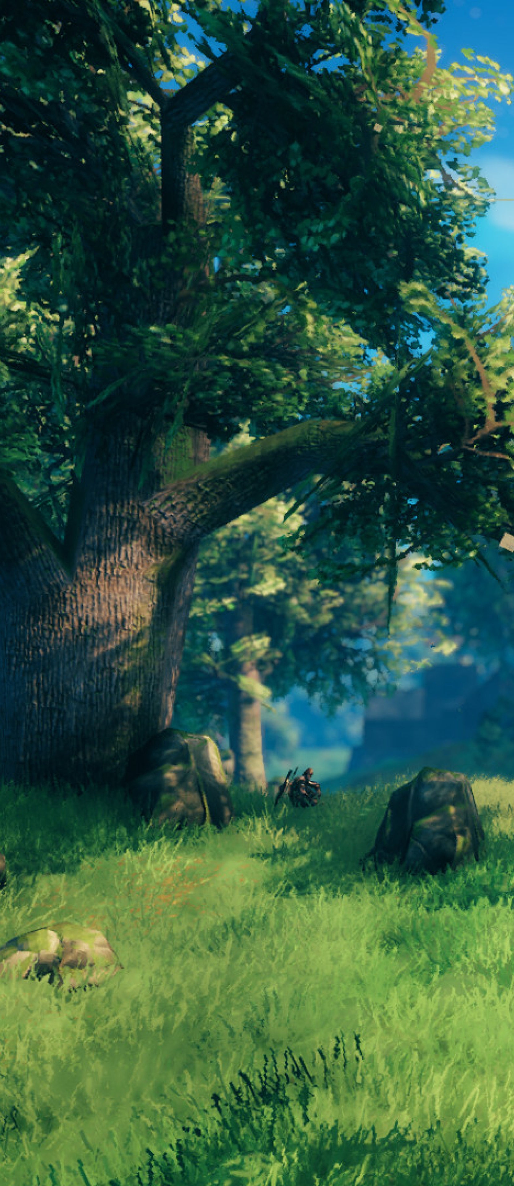 1664x3840 Resolution Valheim Background 1664x3840 Resolution Wallpaper ...