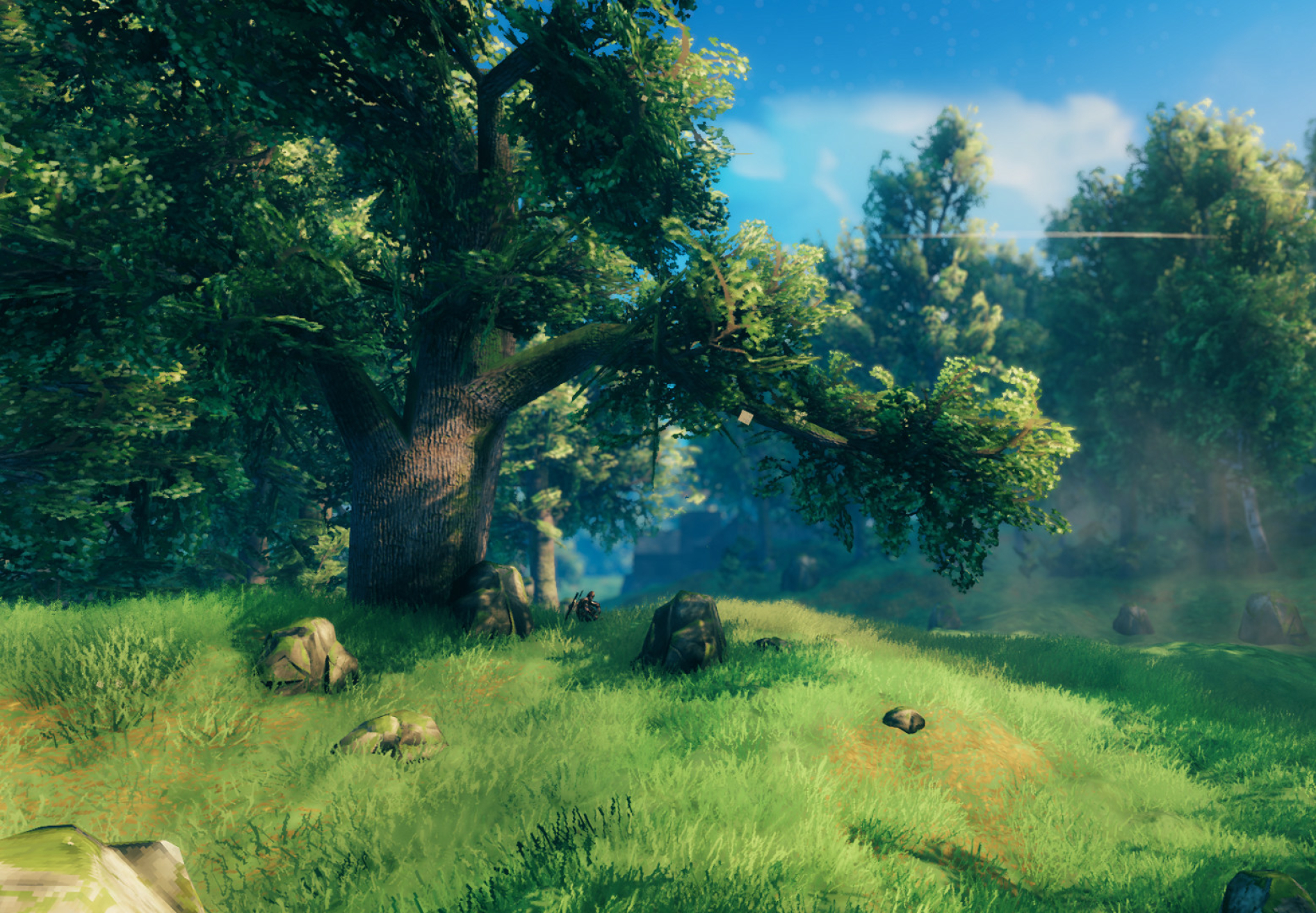 1893x1313 Valheim Background 1893x1313 Resolution Wallpaper, HD Games ...