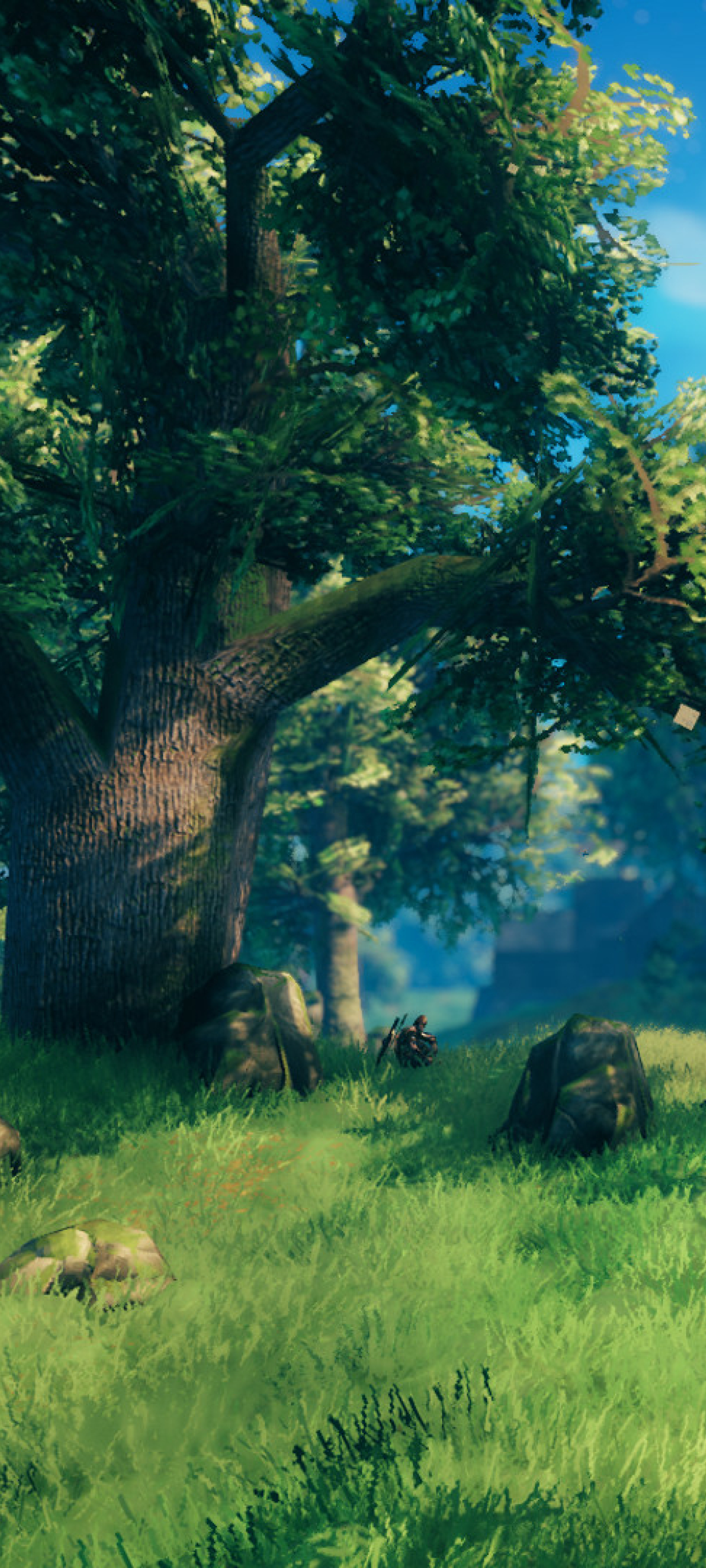 1840x4089 Resolution Valheim Background 1840x4089 Resolution Wallpaper ...