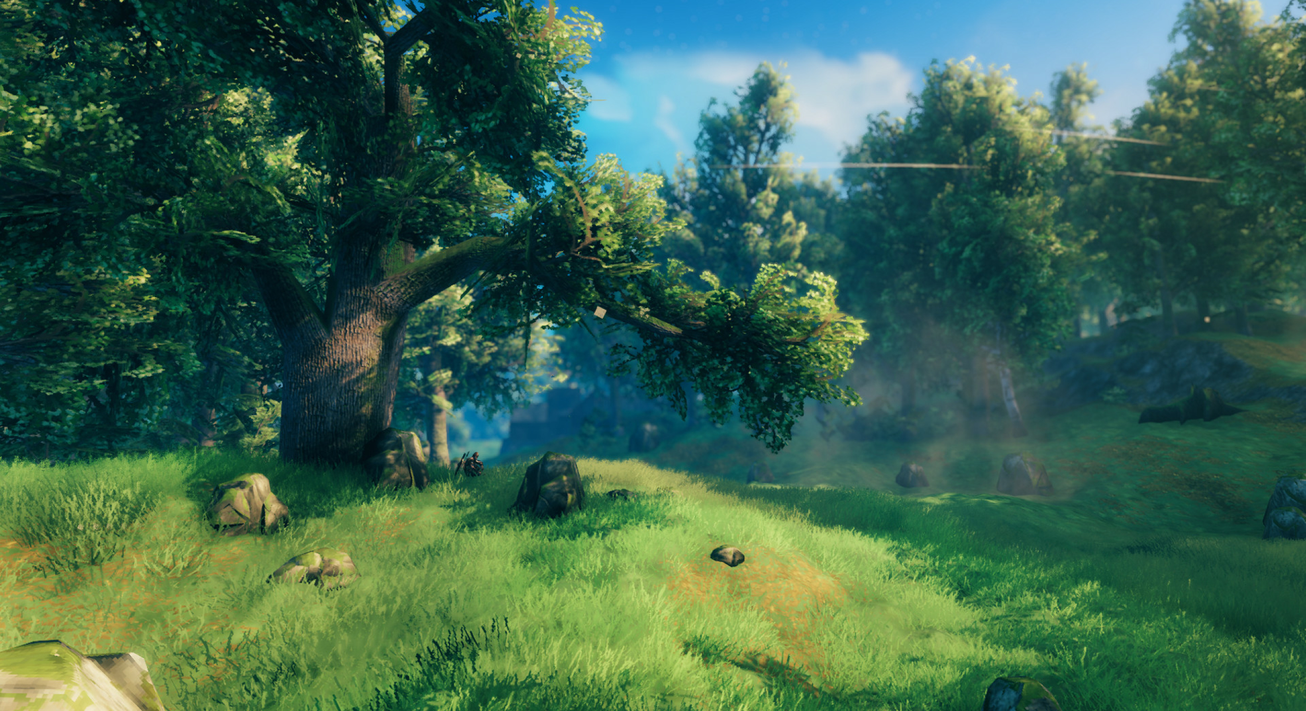2560x1394 Resolution Valheim Background 2560x1394 Resolution Wallpaper ...