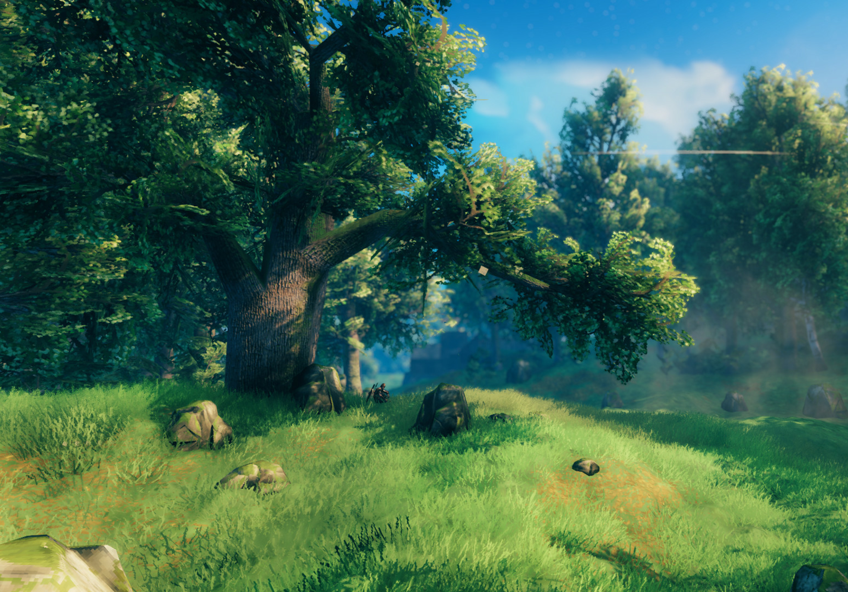 3440x2400 Resolution Valheim Background 3440x2400 Resolution Wallpaper ...