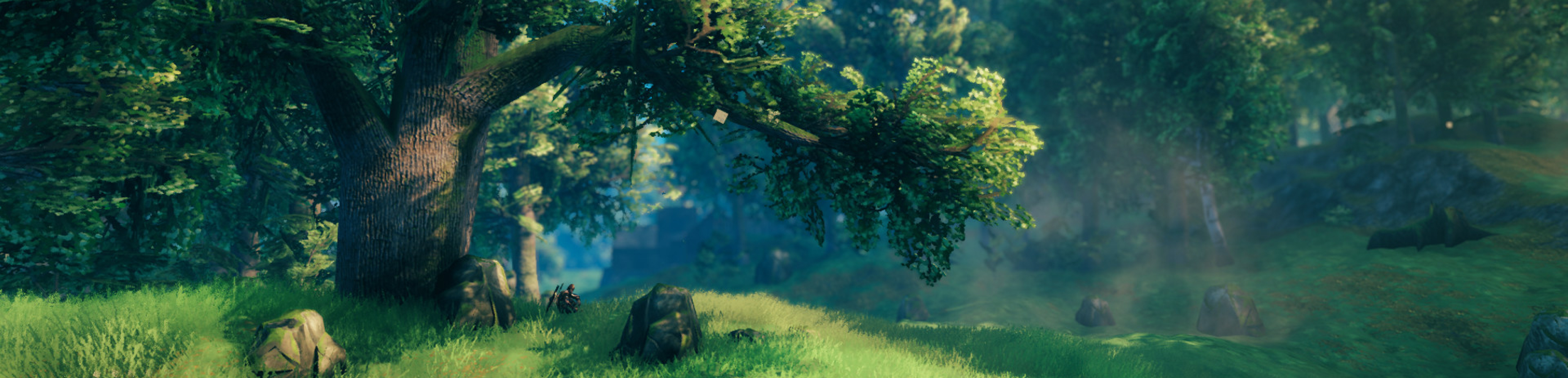 4480x1080 Valheim Background 4480x1080 Resolution Wallpaper, HD Games ...