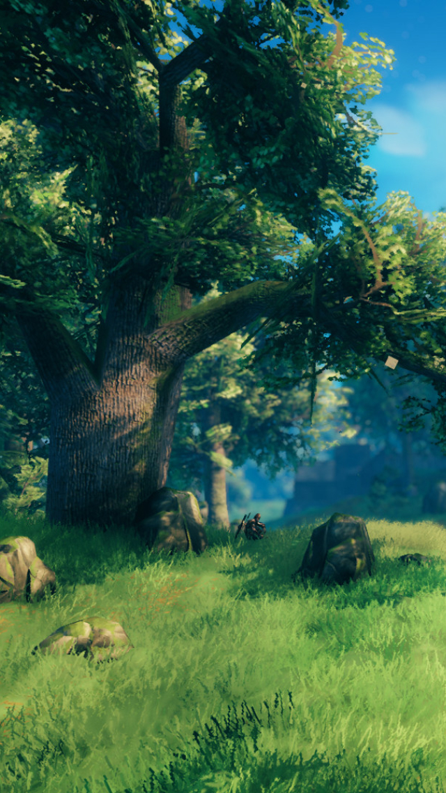 640x1136 Resolution Valheim Background iPhone 5,5c,5S,SE ,Ipod Touch ...