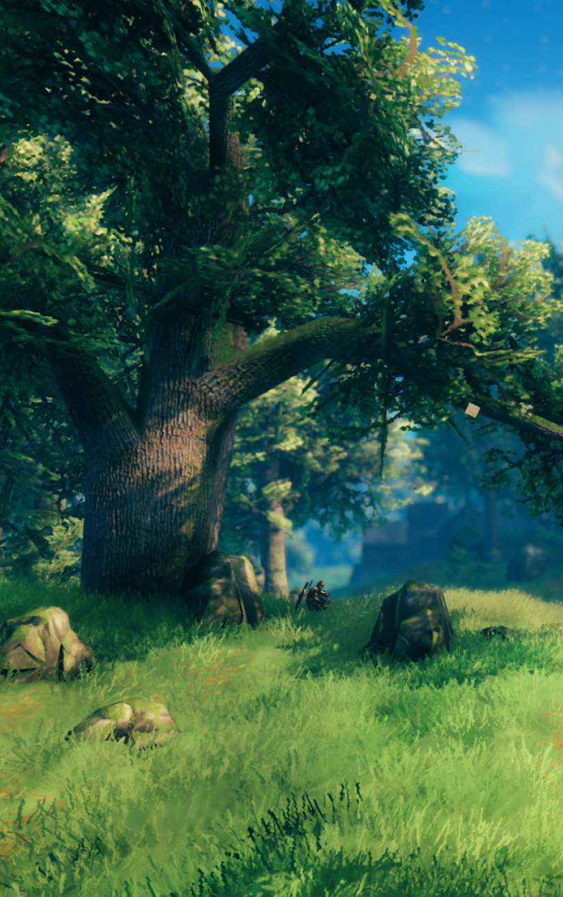810x1290 Resolution Valheim Background 810x1290 Resolution Wallpaper ...