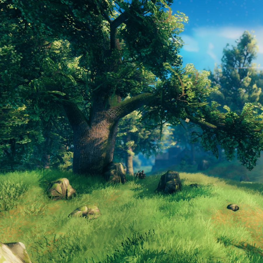 900x900 Valheim Background 900x900 Resolution Wallpaper, HD Games 4K ...