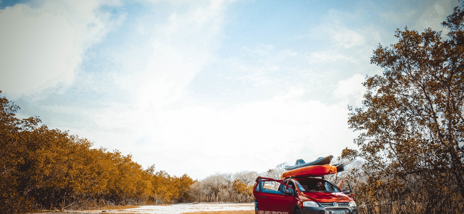 1560x720 Resolution volkswagen suv, field, trees 1560x720 Resolution ...