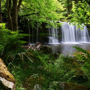 300x300 Resolution waterfall, grass, nature 300x300 Resolution ...