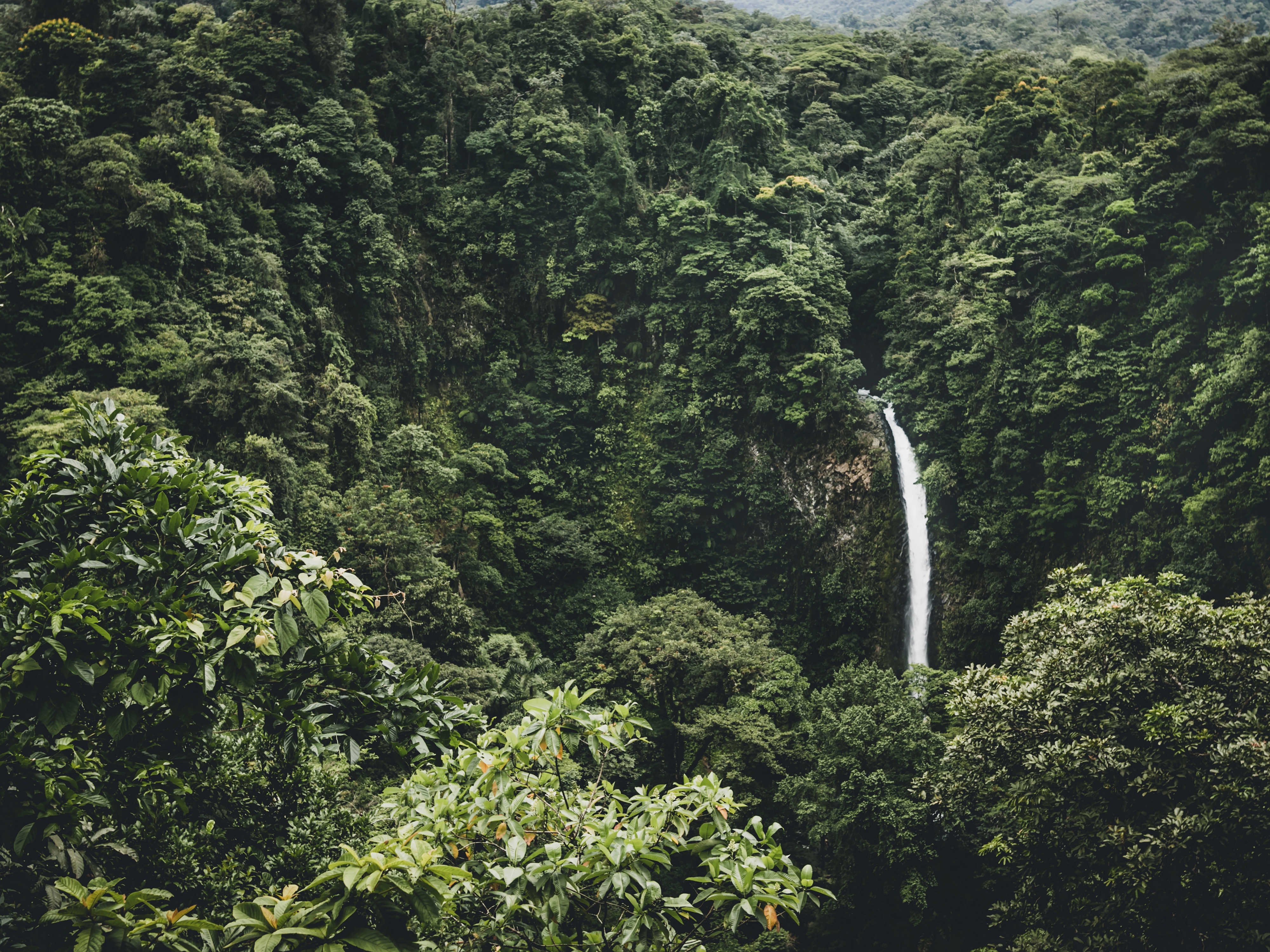 4000x3000 Resolution waterfall, trees, top view 4000x3000 Resolution ...