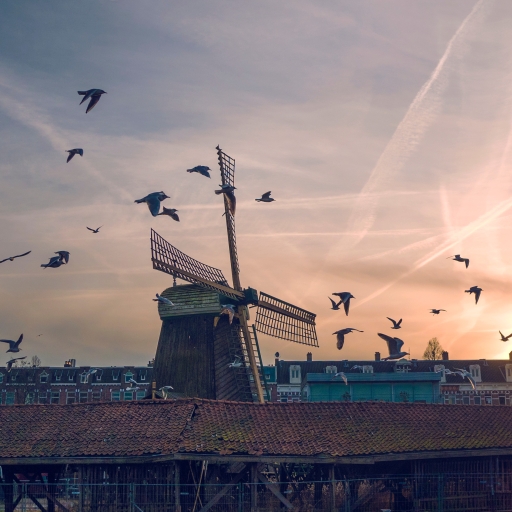 512x512 Resolution windmill, birds, buildings 512x512 Resolution ...
