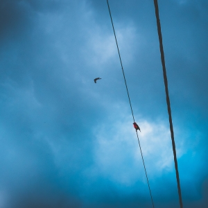 300x300 Resolution wires, clouds, birds 300x300 Resolution Wallpaper ...