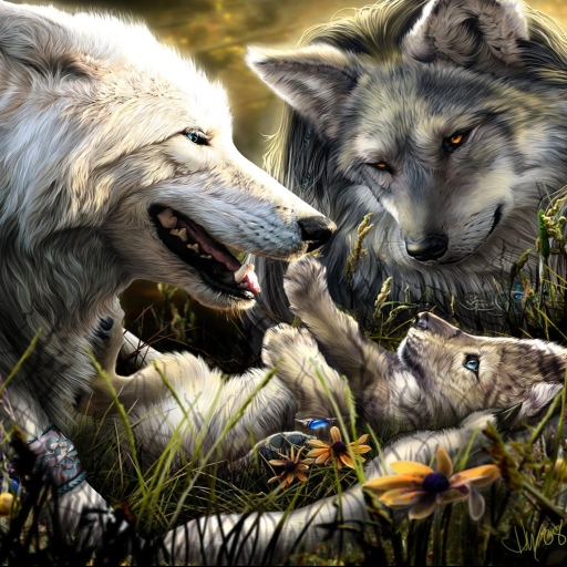 512x512 wolves, family, birth 512x512 Resolution Wallpaper, HD Fantasy ...