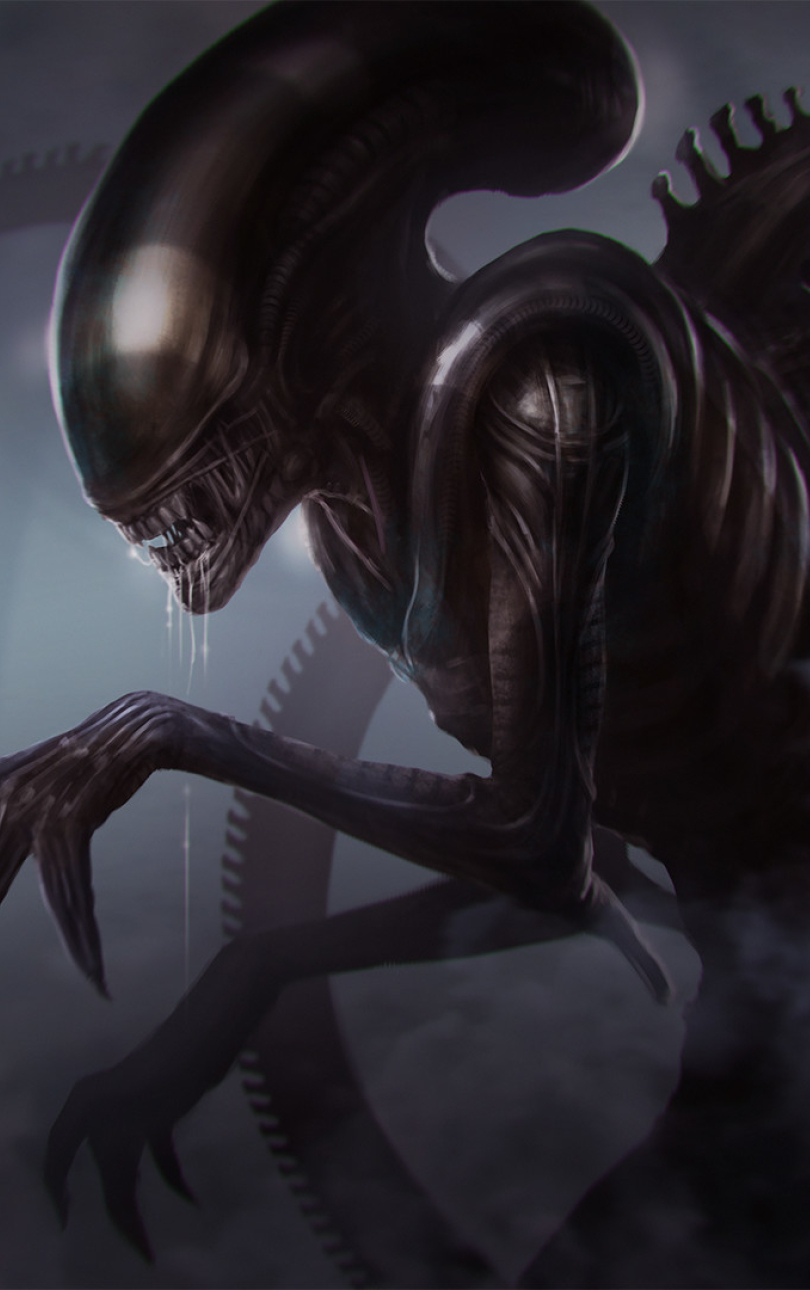 810x1290 Resolution Xenomorph Queen 810x1290 Resolution Wallpaper ...
