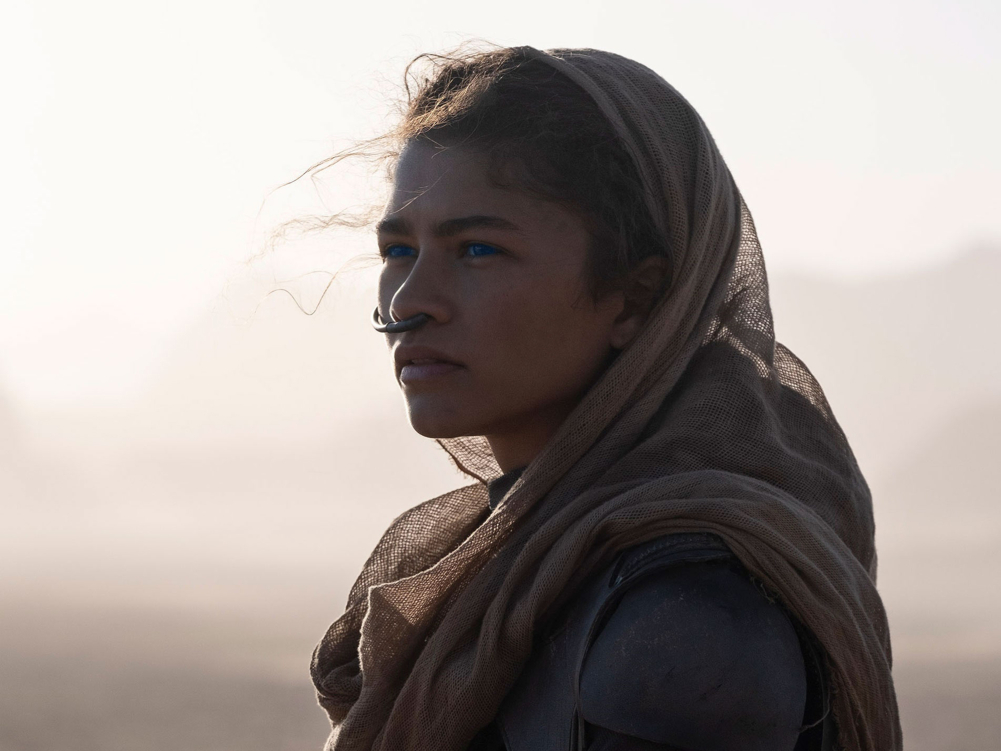 1001x751 Zendaya as Chani in Dune 2020 1001x751 Resolution Wallpaper ...
