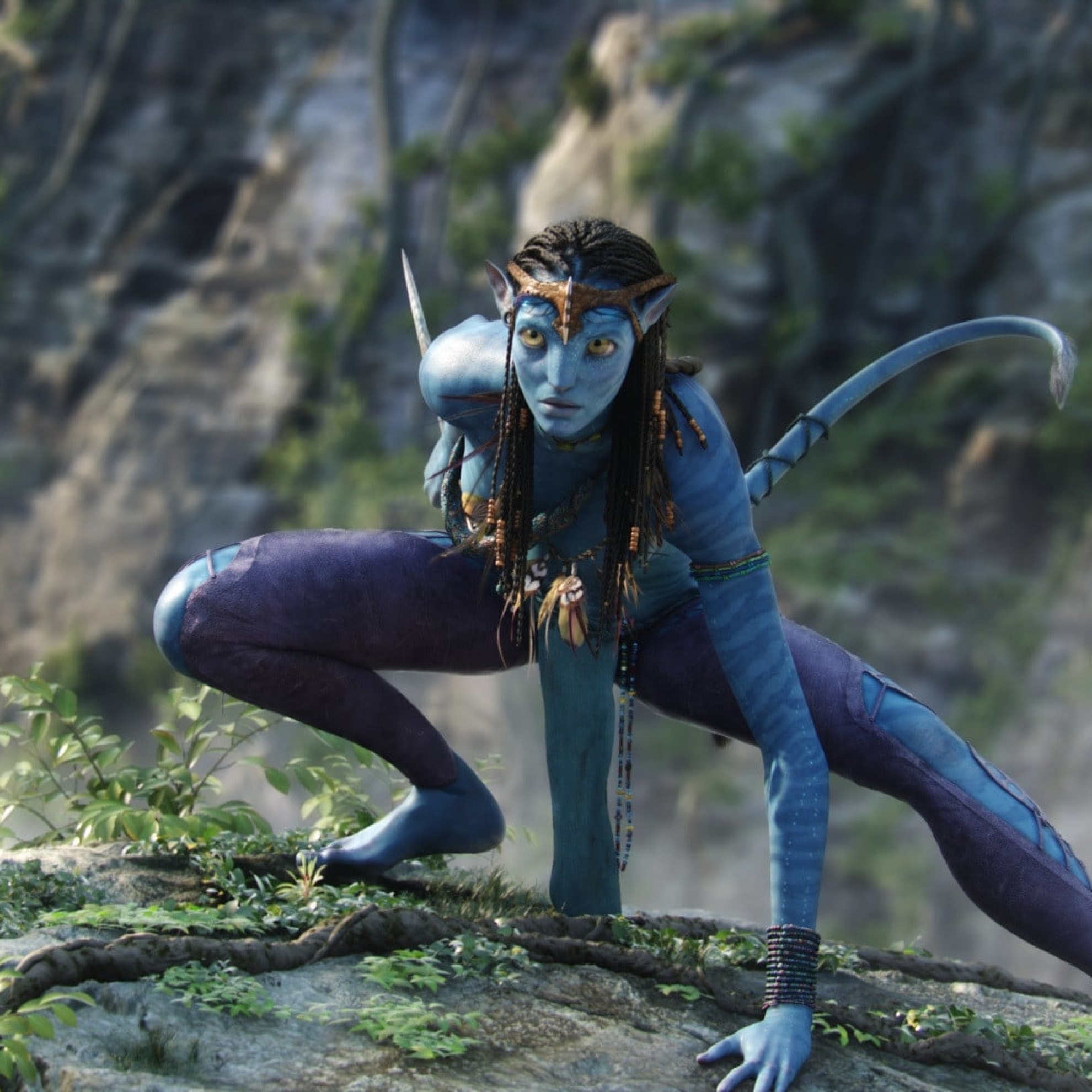 1980x1980 Resolution Zoe Saldana from Avatar Movie 1980x1980 Resolution ...