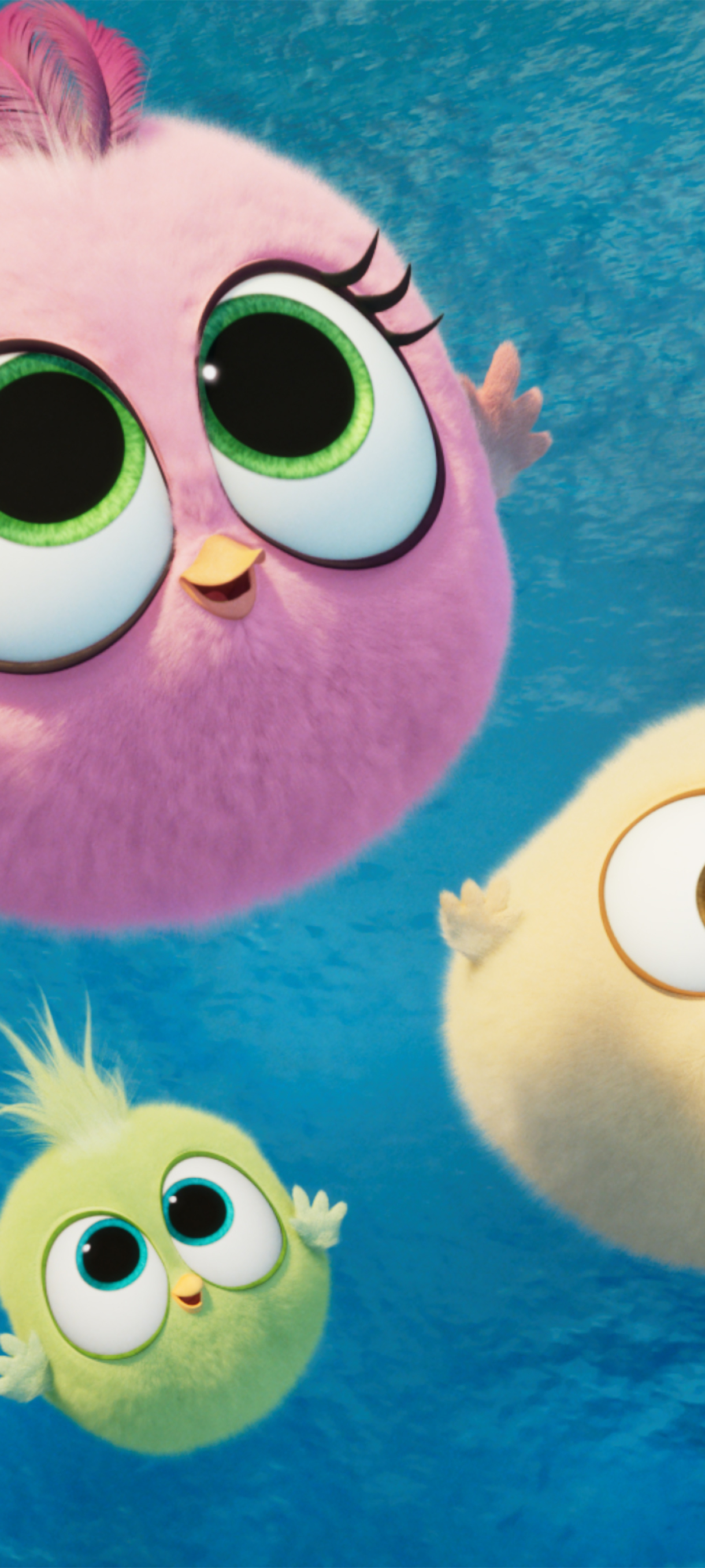 1220x2712 Resolution Zoe, Vivi, and Sam-Sam in Angry Birds 2 1220x2712 ...