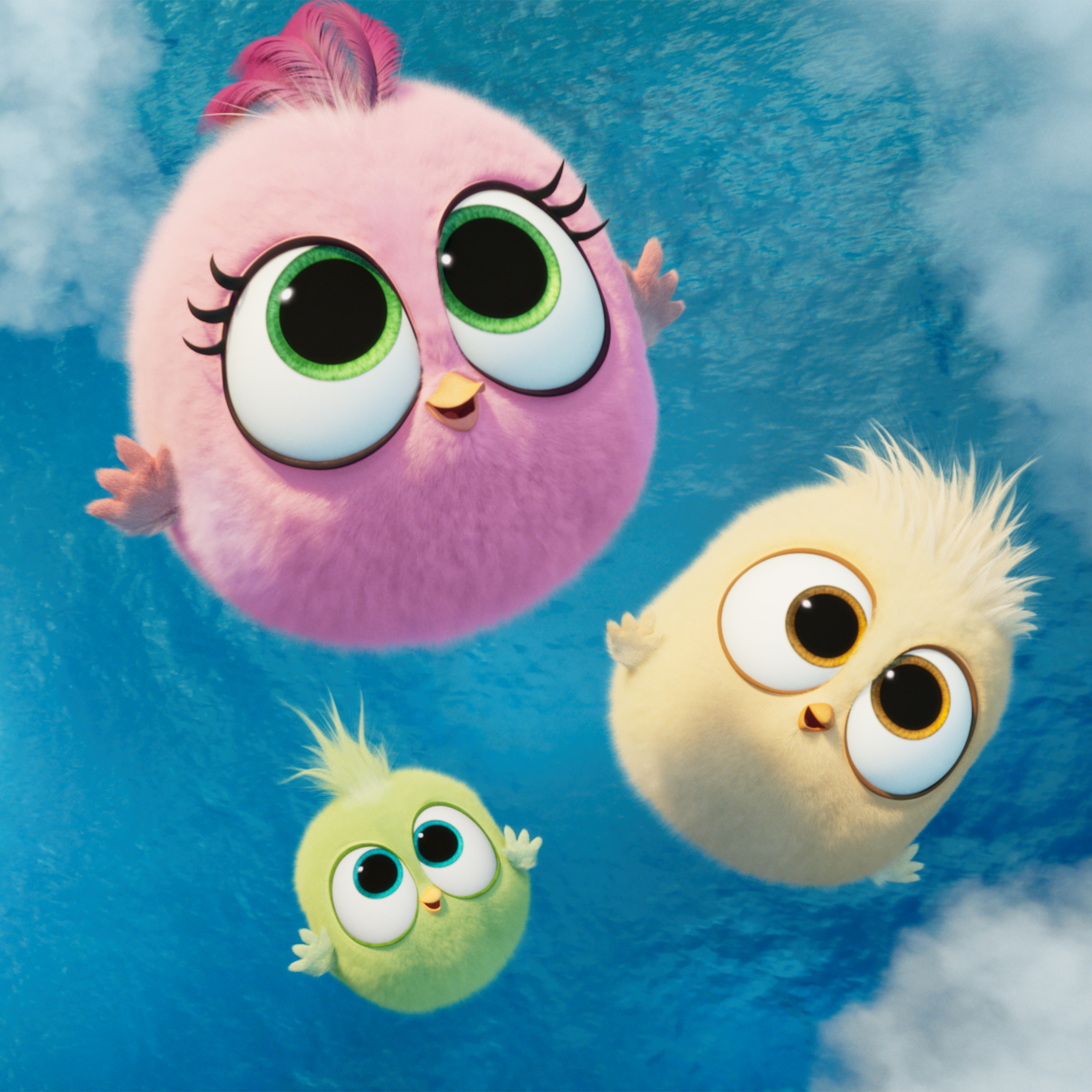 3088x3088 Resolution Zoe, Vivi, and Sam-Sam in Angry Birds 2 3088x3088 ...