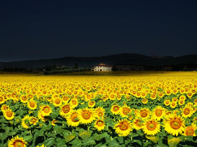 5K Wallpapers, 5120x2880 Resolution Wallpapers for Mobile, Desktop ...