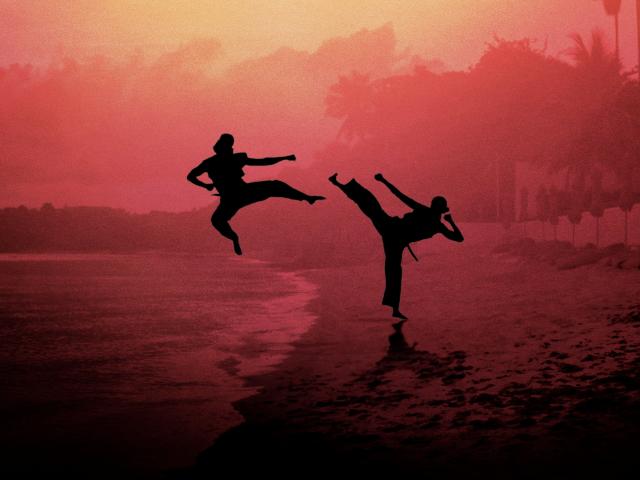 2 Cobra Kai HD Wallpapers in 4K, 3840x2160 Resolution Background and Images