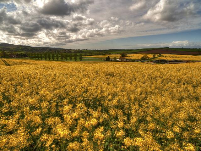 Popular Nature 2442 Wallpapers in 2560x1080 Resolution, HD Nature 4k 8k ...