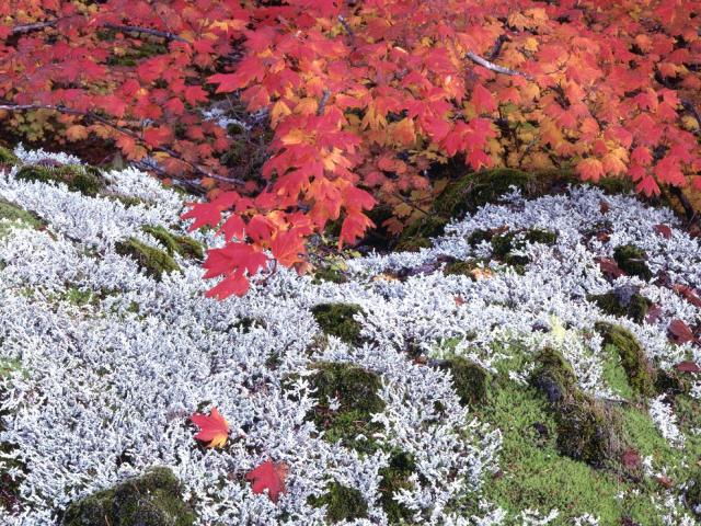 Nature Wallpapers, HD Nature 4k 8k Wallpapers - Page 230
