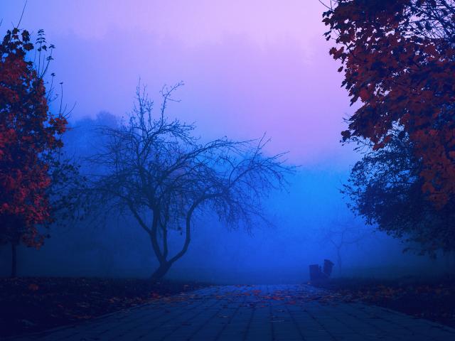 Haze HD Wallpapers and 4K Backgrounds - Wallpapers Den