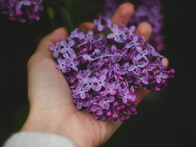 Latest Wallpapers - Page 2998