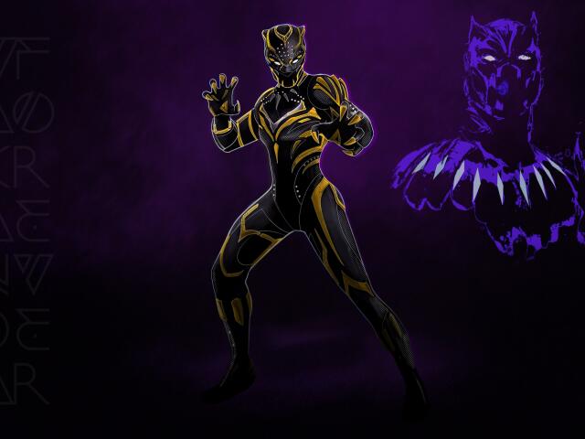 Female Black Panther HD Wallpapers and 4K Backgrounds - Wallpapers Den